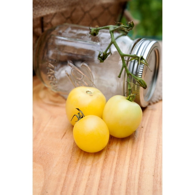 Super Snow White Heirloom Tomato Premium Seeds Packet - Walmart.com