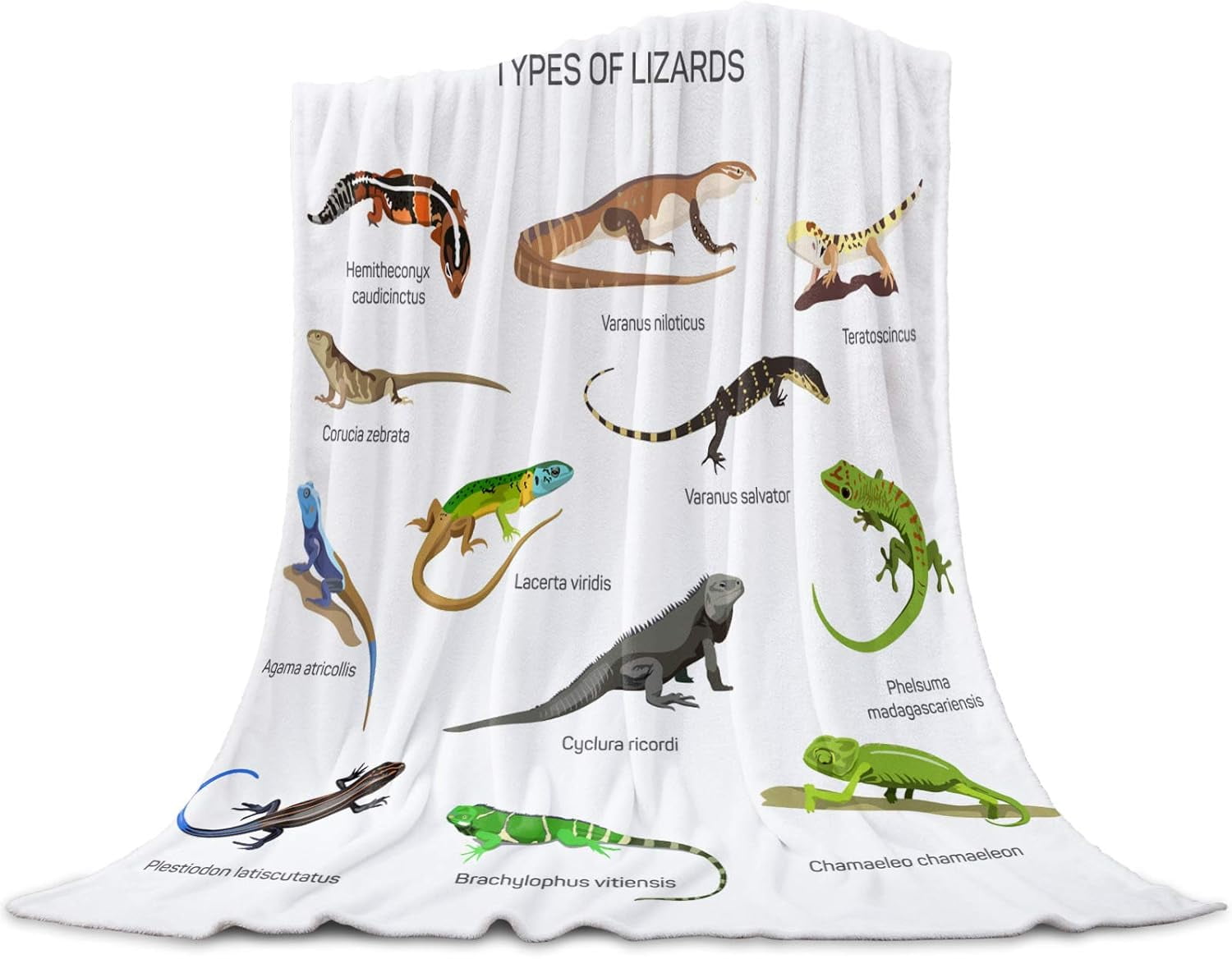 Super Soft Cozy Fannel Fleece Blanket Microfiber Throw Blanket Set of ...