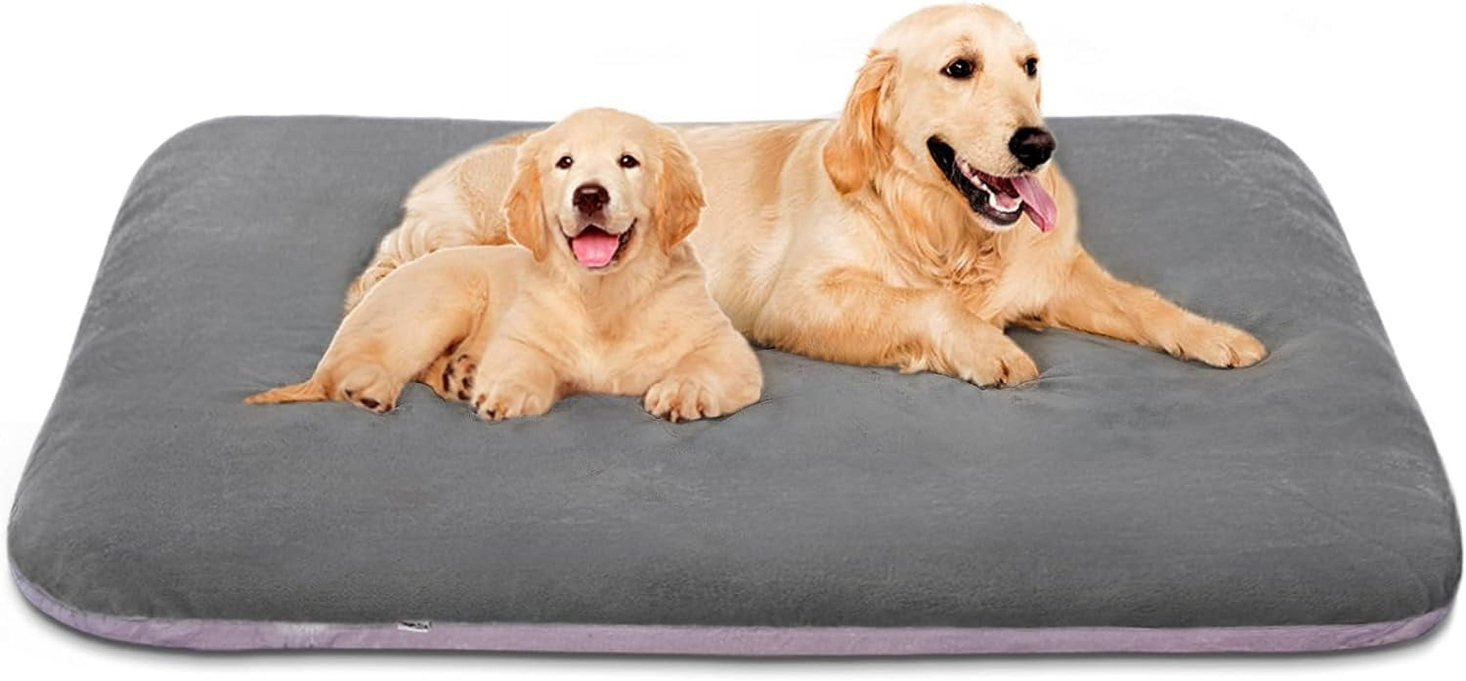 Super Soft Extra Large Dog Bed, 47 Inches Orthopedic Foam Dog Beds for ...