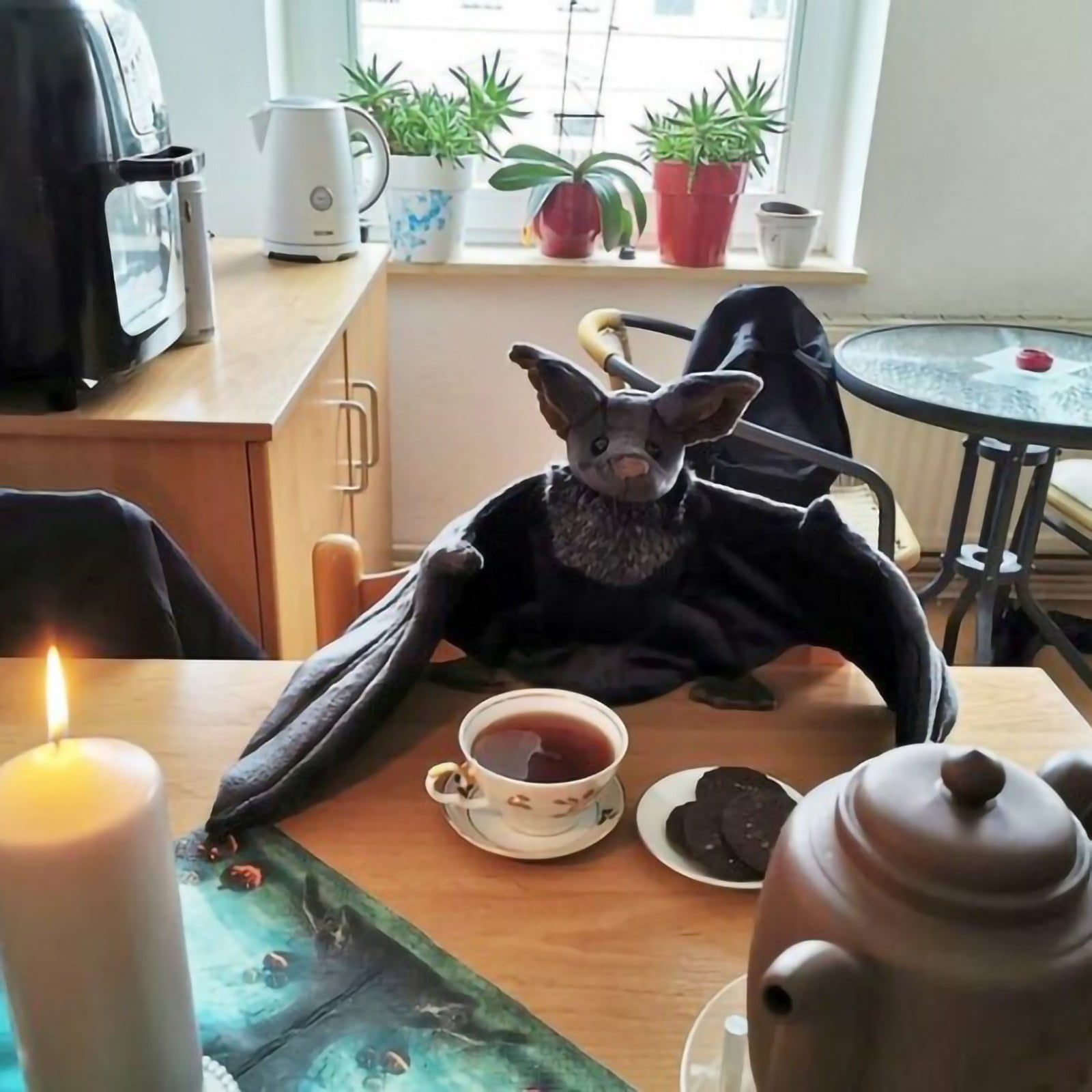 Super Soft Plush Stuffed Bat Toy for Kids, Cute & Furry Animal Learning ...