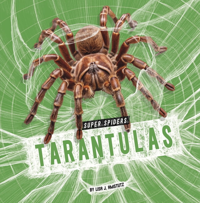 Super Spiders Tarantulas, (Hardcover) - Walmart.com