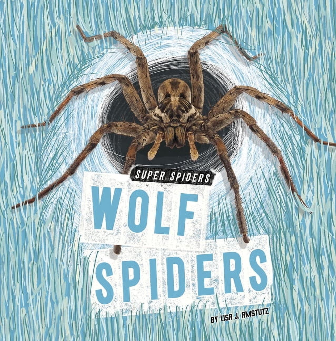 Super Spiders Wolf Spiders, (Hardcover) - Walmart.com
