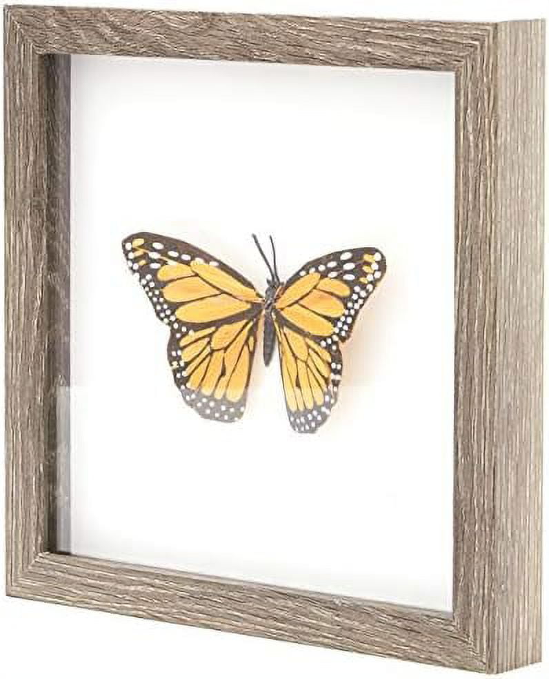 Super-Sturdy, Real Wood 8X8 Box Frame 1Pk. Genuine Hardwood Display ...