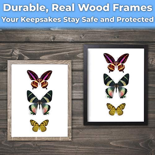 Super-Sturdy, Real Wood 8x10 Shadow Box Frame 3pk. Genuine Hardwood ...