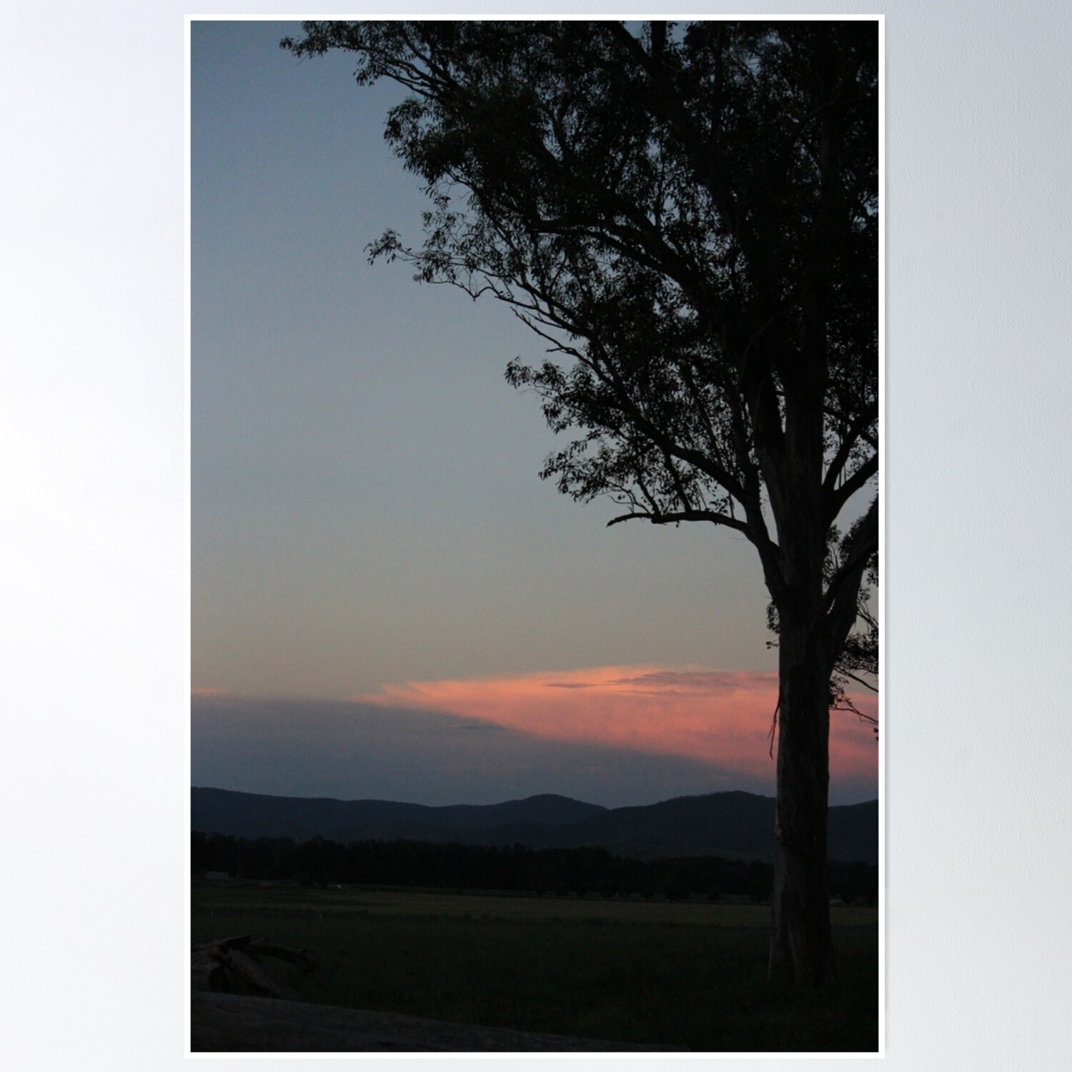 Super Sunset And Terrific Tree Poster Wall Art, Modern Wall Decor, 8x12 ...