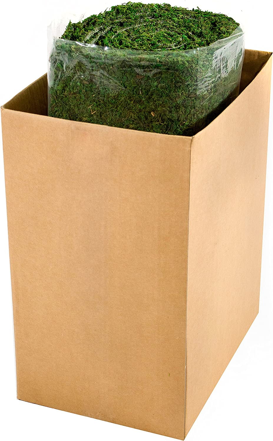 SuperMoss (22431) 1-1/2-Foot by 24-Foot Instant Green All Purpose Moss/Mat Runner - Walmart.com