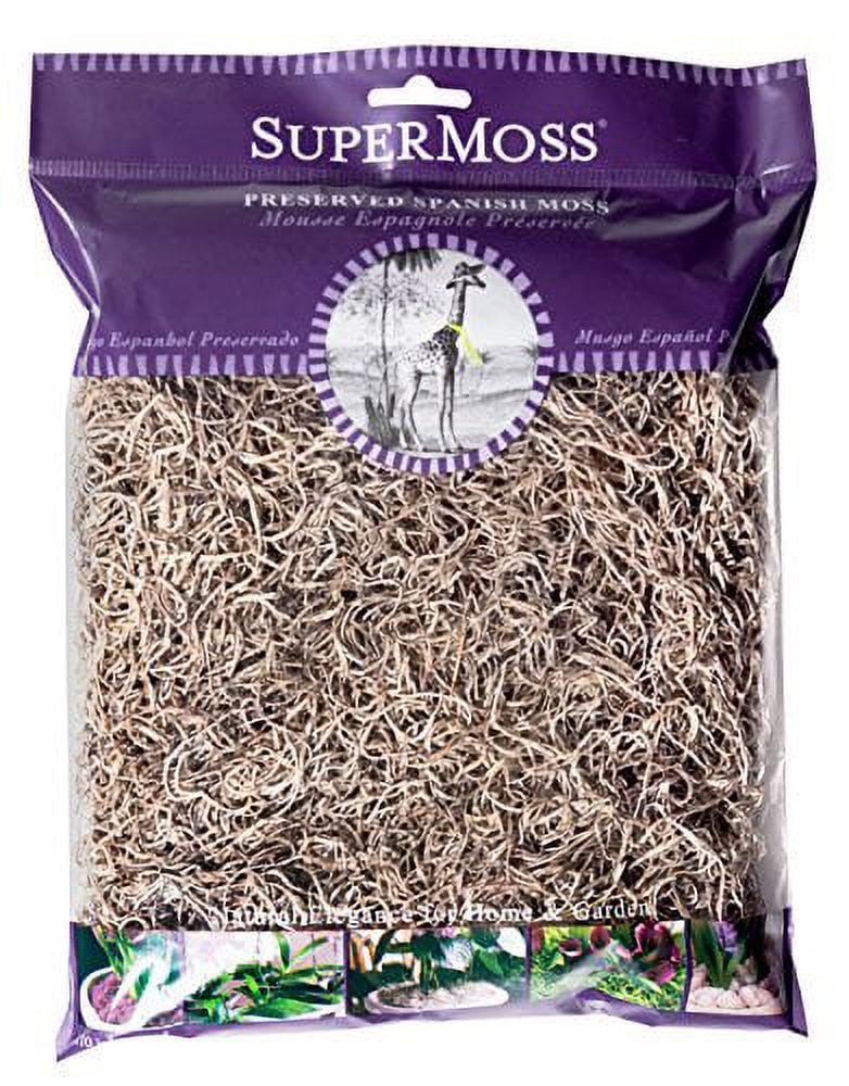 SuperMoss (26905) Spanish Moss Preserved, Natural, 4oz - Walmart.com