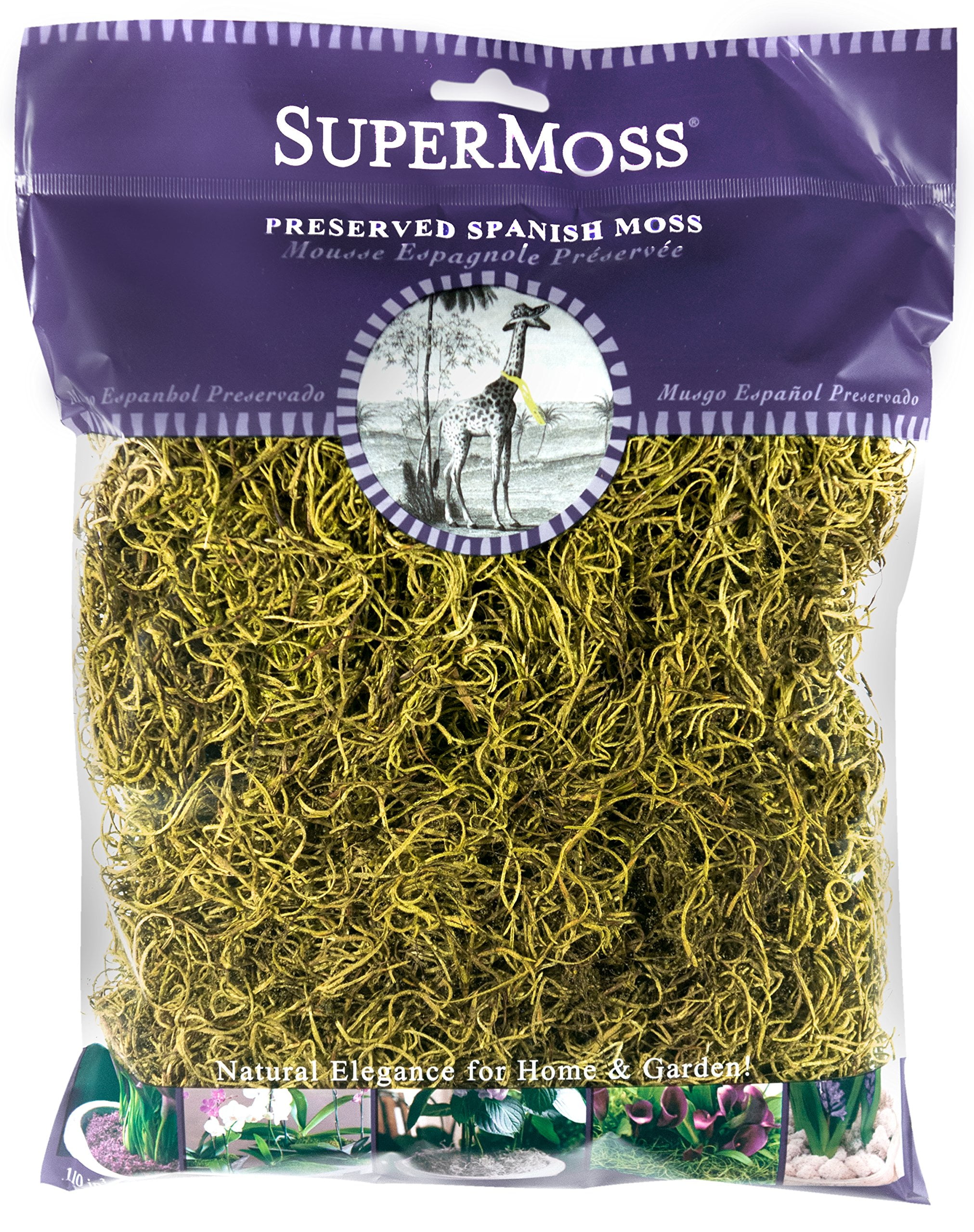SuperMoss (26959) Spanish Moss Preserved, Basil, 4oz - Walmart.com