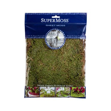 Proflora 18” x 48” Moss Mat, True Green Floramat, Artificial Turf ...