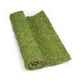 SuperMoss InstantGreen Moss Mat - 4 x 1.5 feet - Walmart.com