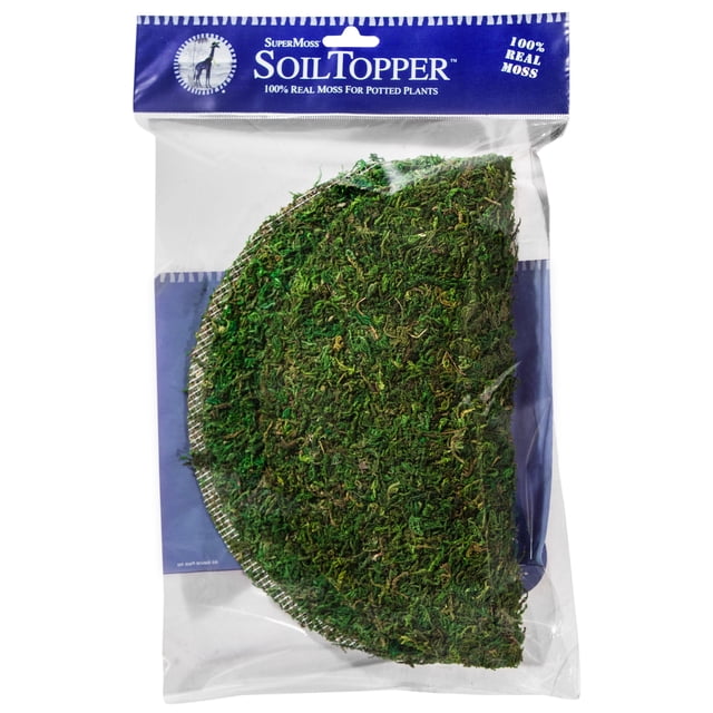 SuperMoss Moss Pot Toppers 10" 3/Pkg-Green - Walmart.com