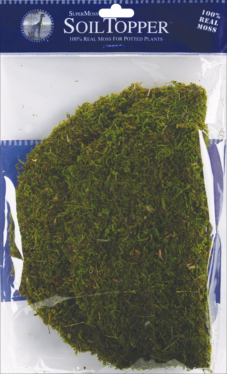 SuperMoss Moss Pot Toppers 10" 3/Pkg-Green - Walmart.com