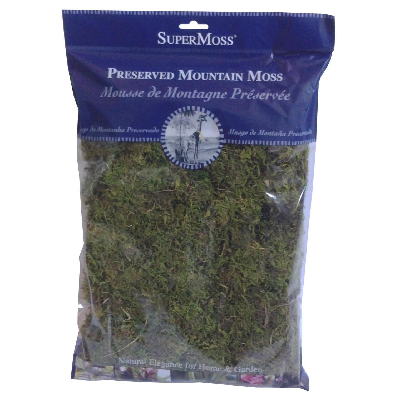SuperMoss (23802) Mountain Moss Preserved, Fresh Green, 8oz - Walmart.com