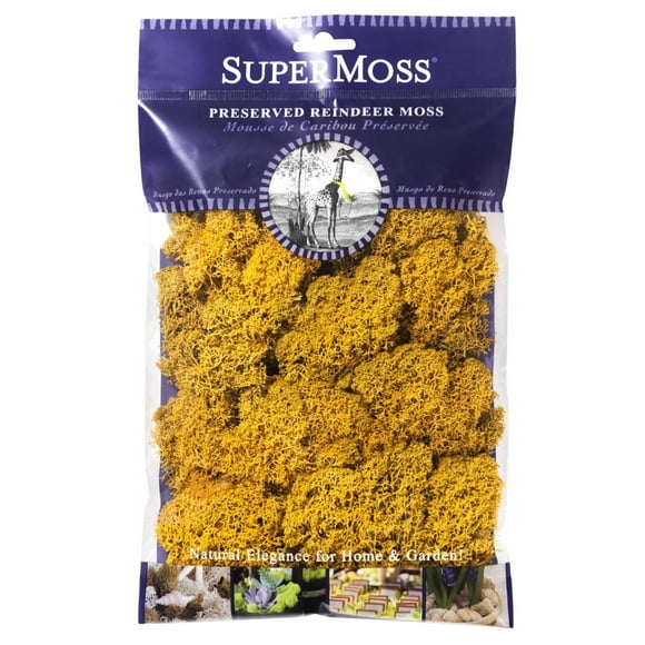 SuperMoss
