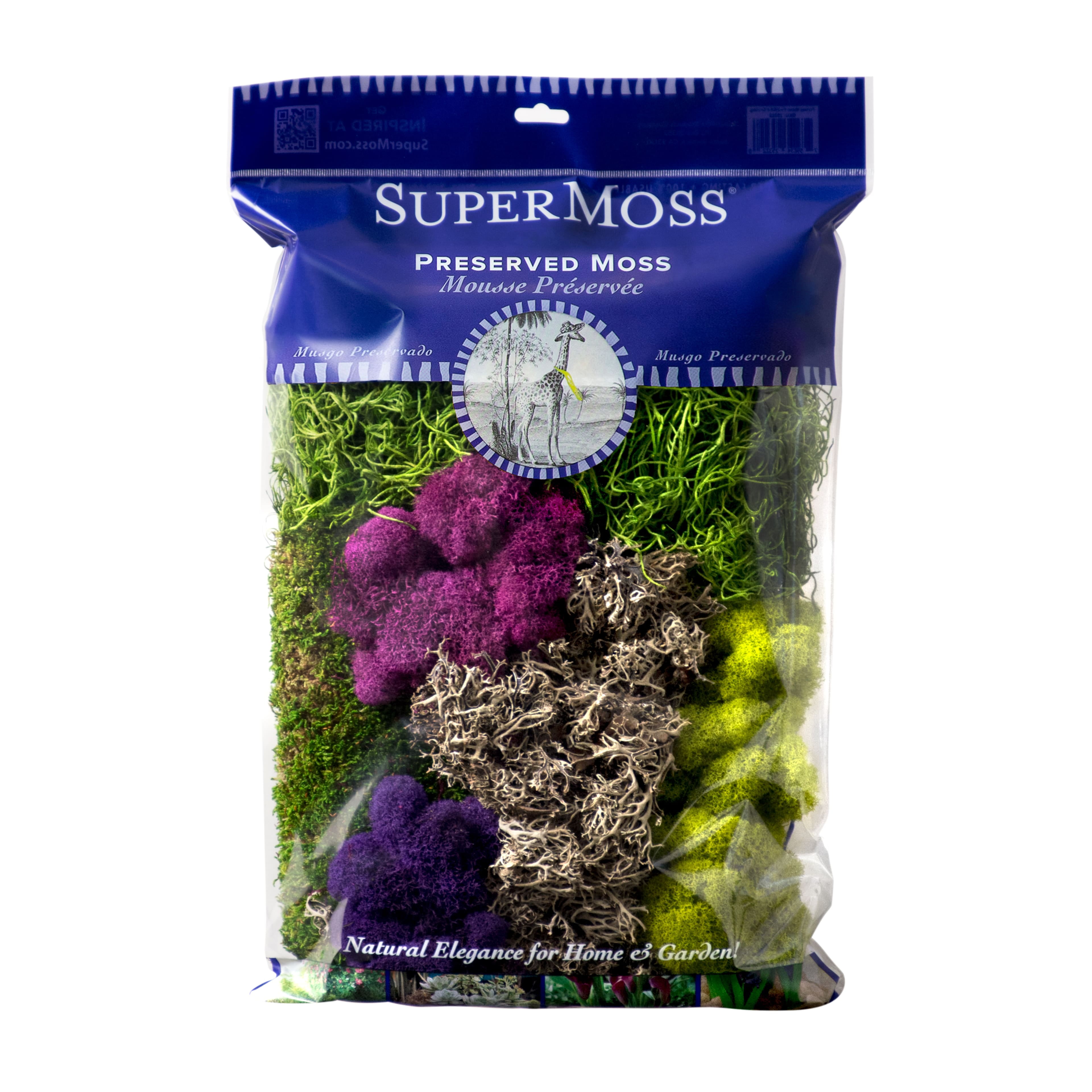 SuperMoss® Purple & Green Preserved Mixed Moss - Walmart.com