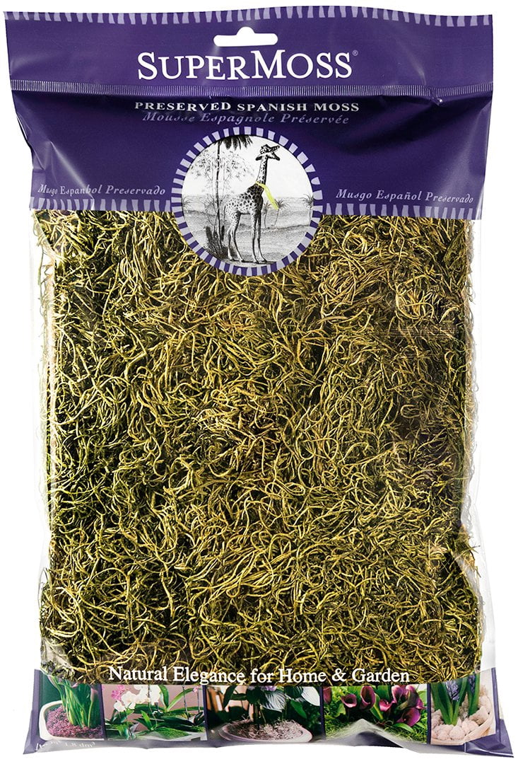SuperMoss Spanish Moss Preserved, Basil, 8oz (200 cubic inch) - Walmart.com