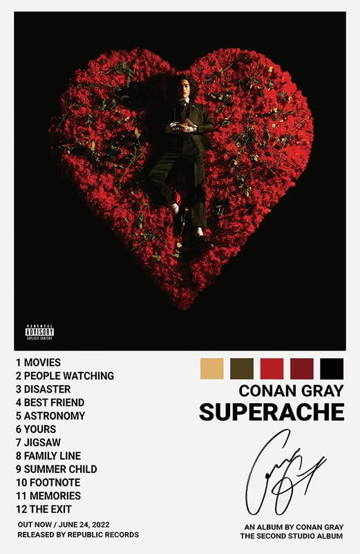 Superache Conan Gray Posters & Prints Bedroom Decor Silk Wall Art Gift ...