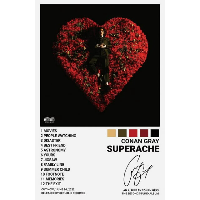 Superache Conan Gray Posters & Prints Bedroom Decor Silk Wall Art Gift ...