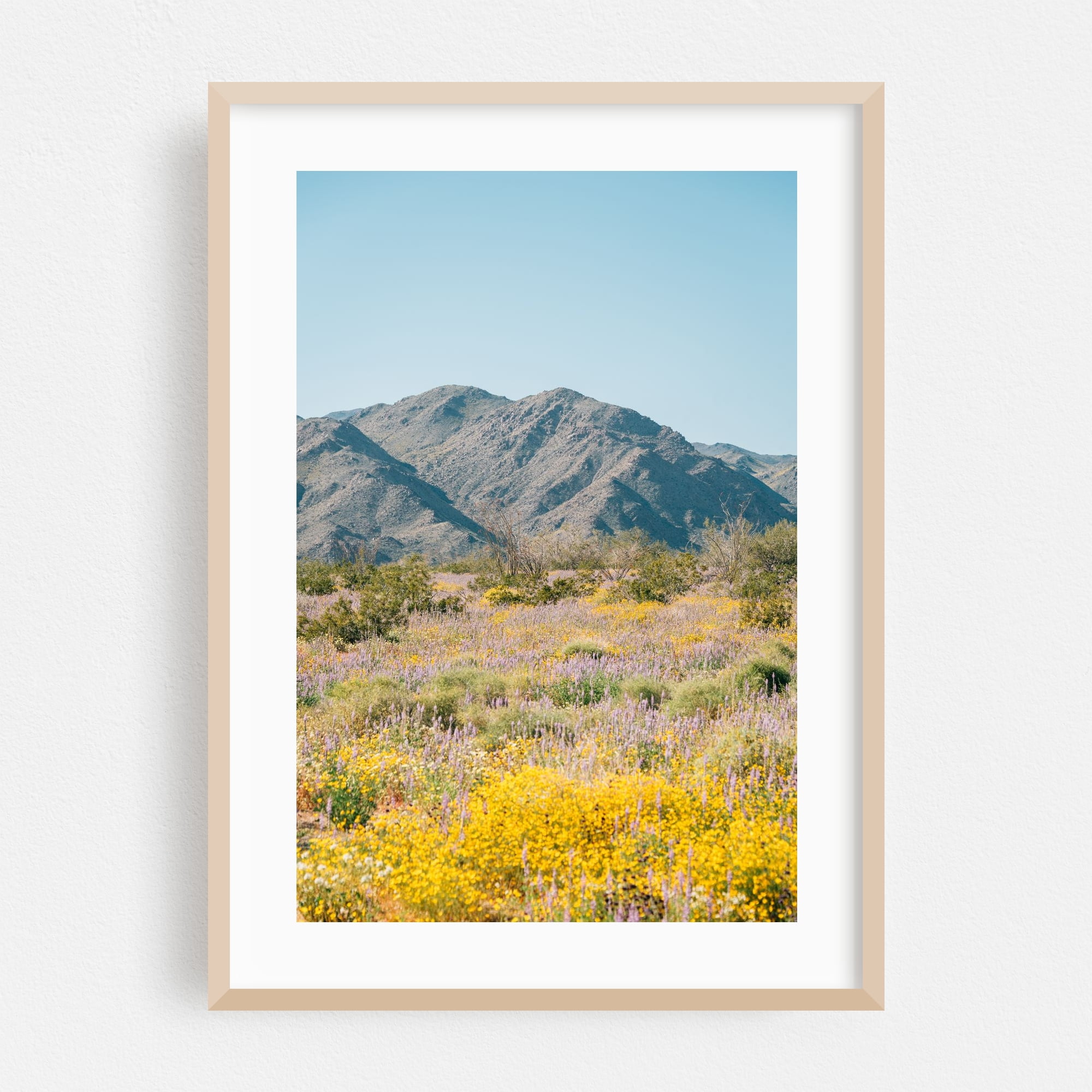 Superbloom, Joshua Tree - California Photography Oak Framed Wall Art ...