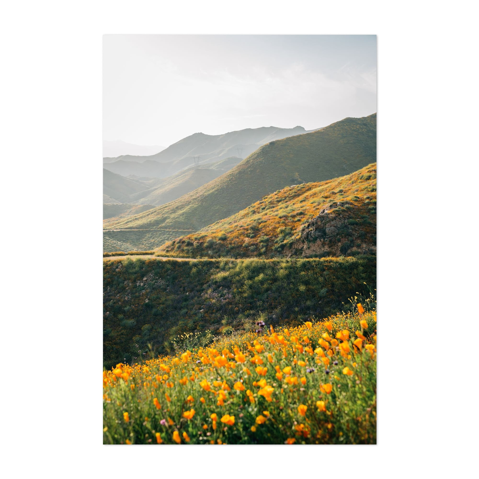 Superbloom Poppies 05 - Lake Elsinore California Photography Landscape ...