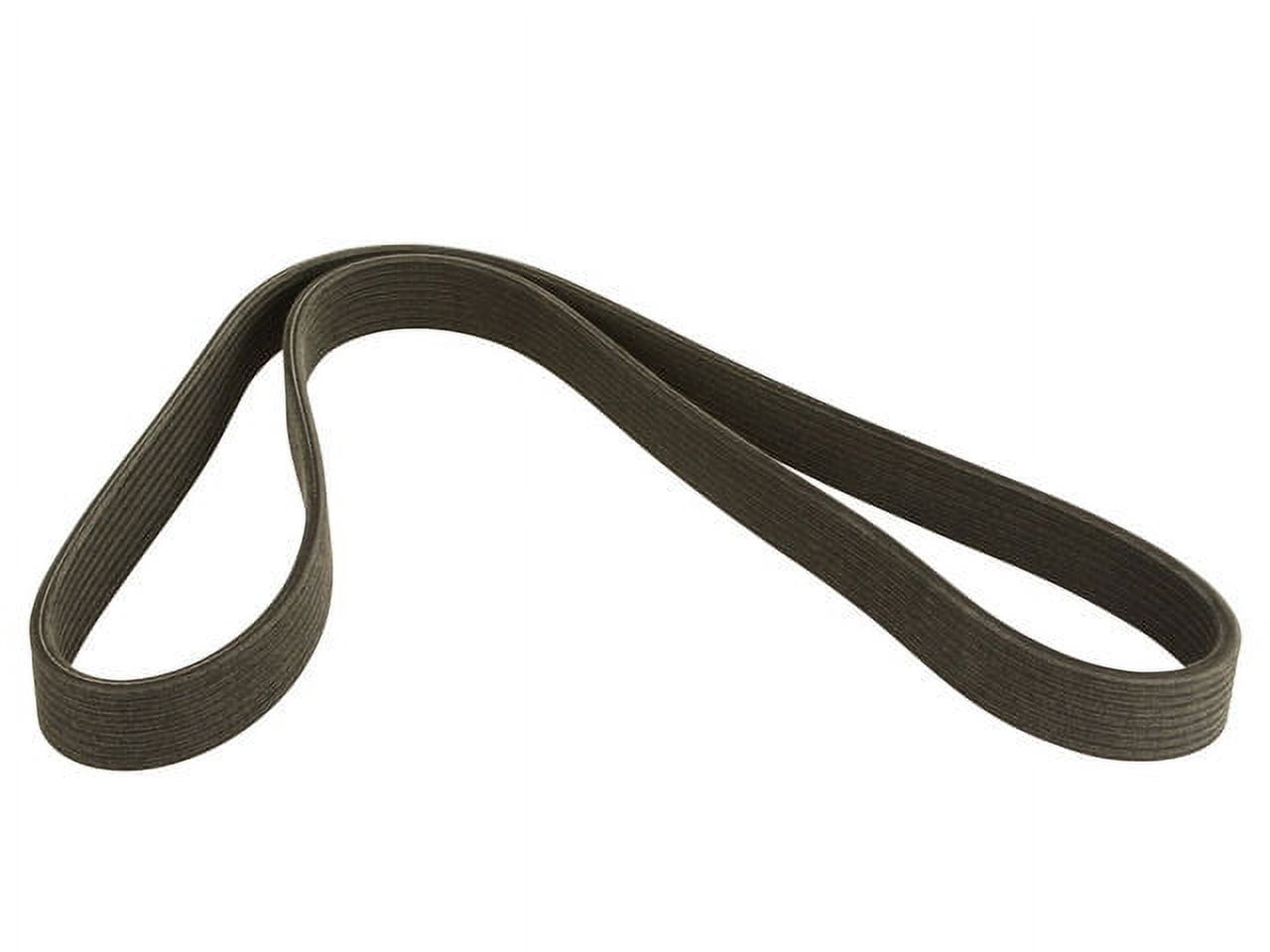 Supercharger Multi Rib Belt - Compatible with 2003 - 2007 Jaguar S-Type ...