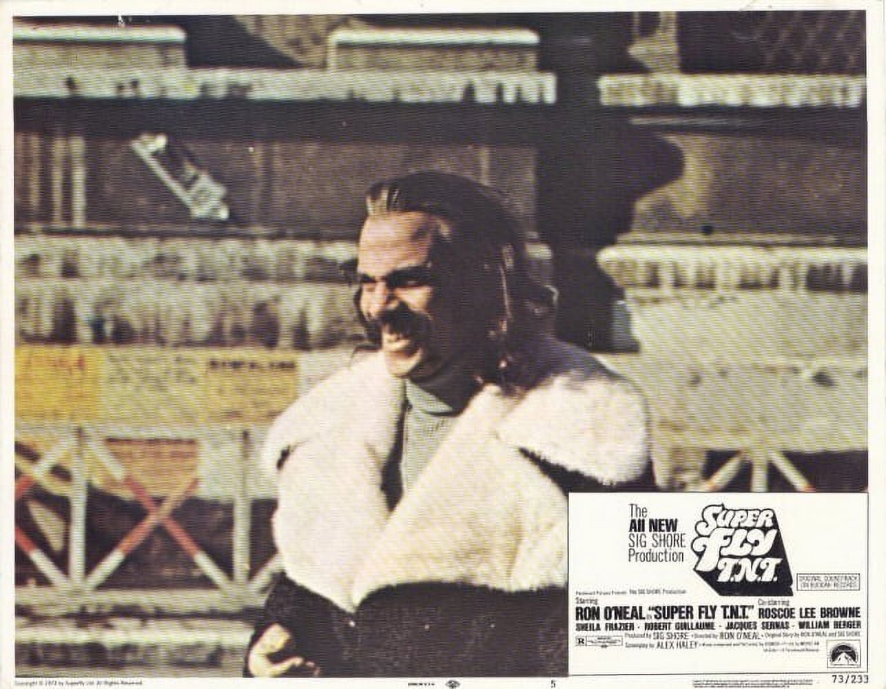 Superfly T N T - movie POSTER (Style E) (11" x 14") (1973) - Walmart.com