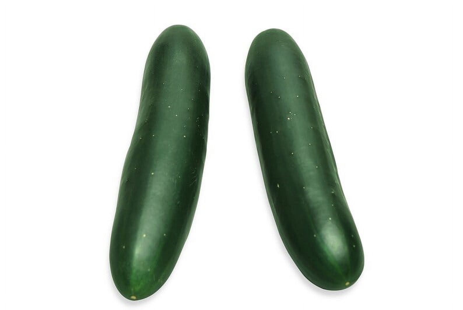 Superior Salad Cucumber Heirloom Premium Seed Packet - Walmart.com