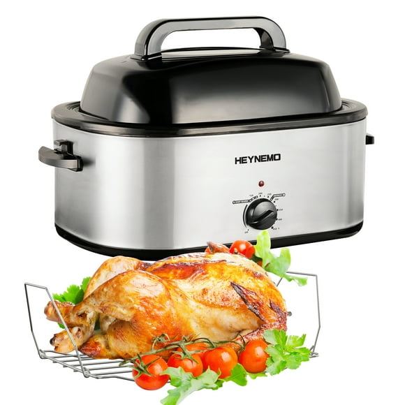 Electric Turkey Fryer