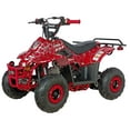Ricky Power Sports Red Spider RPS 110 Raider 6 Kids 125 cc ATV ...