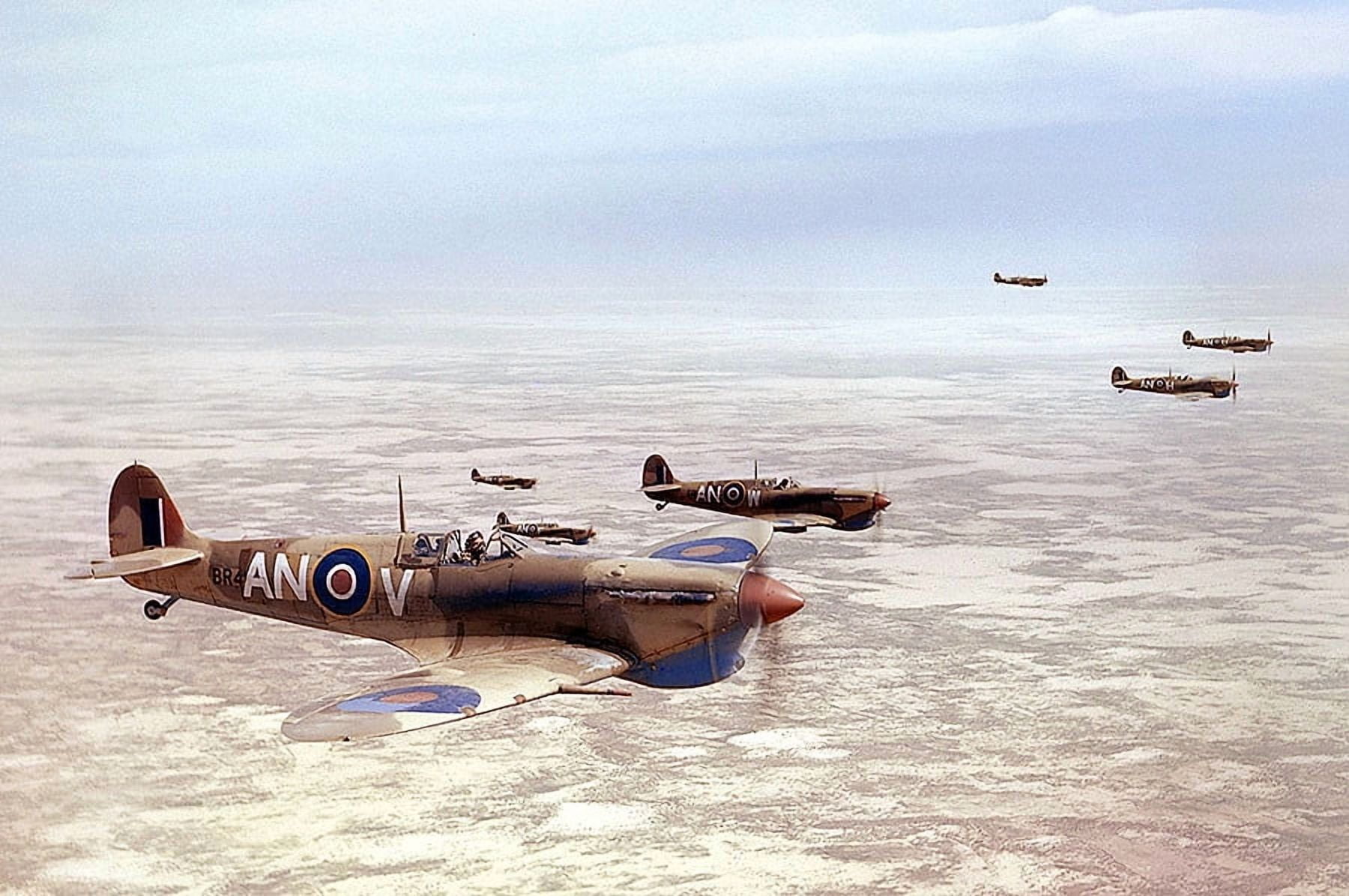 Supermarine Spitfires in Loose Formation Flight - 12x18 Inch Laminated ...