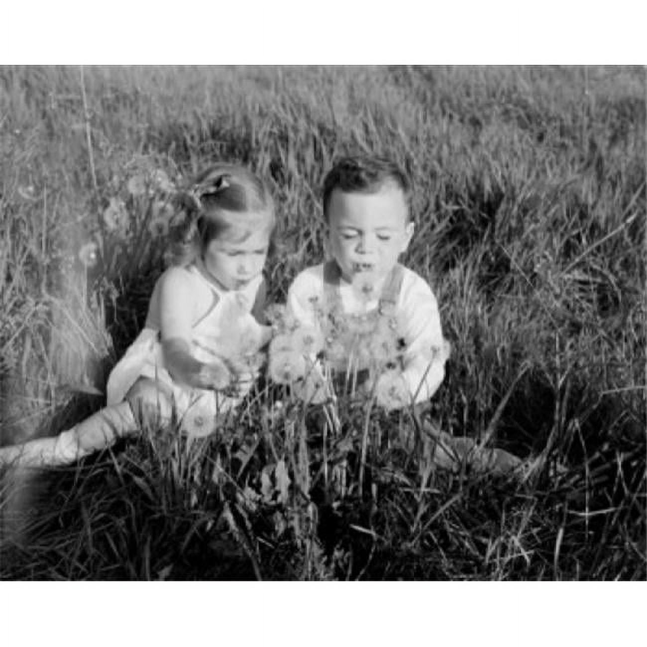 Superstock SAL255424446LARGE Girl & Boy Sitting On Meadow Blowing ...