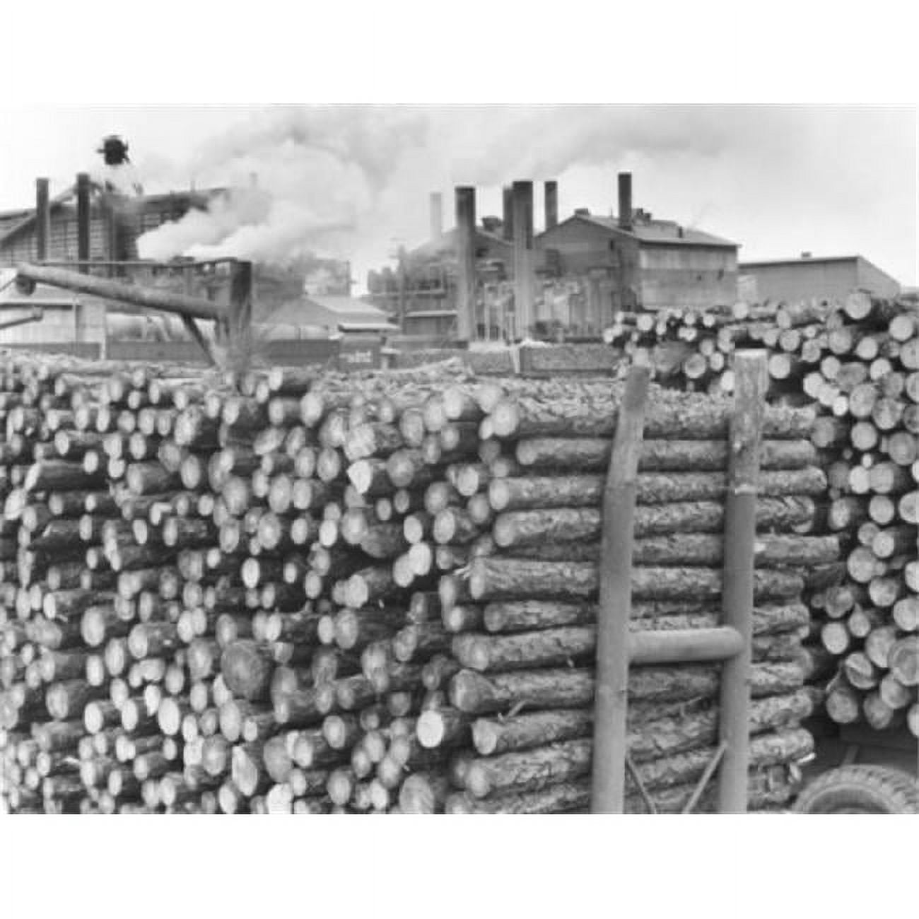 Superstock Wooden Logs Loaded in Trucks Near A Paper Mill Poster Print ...