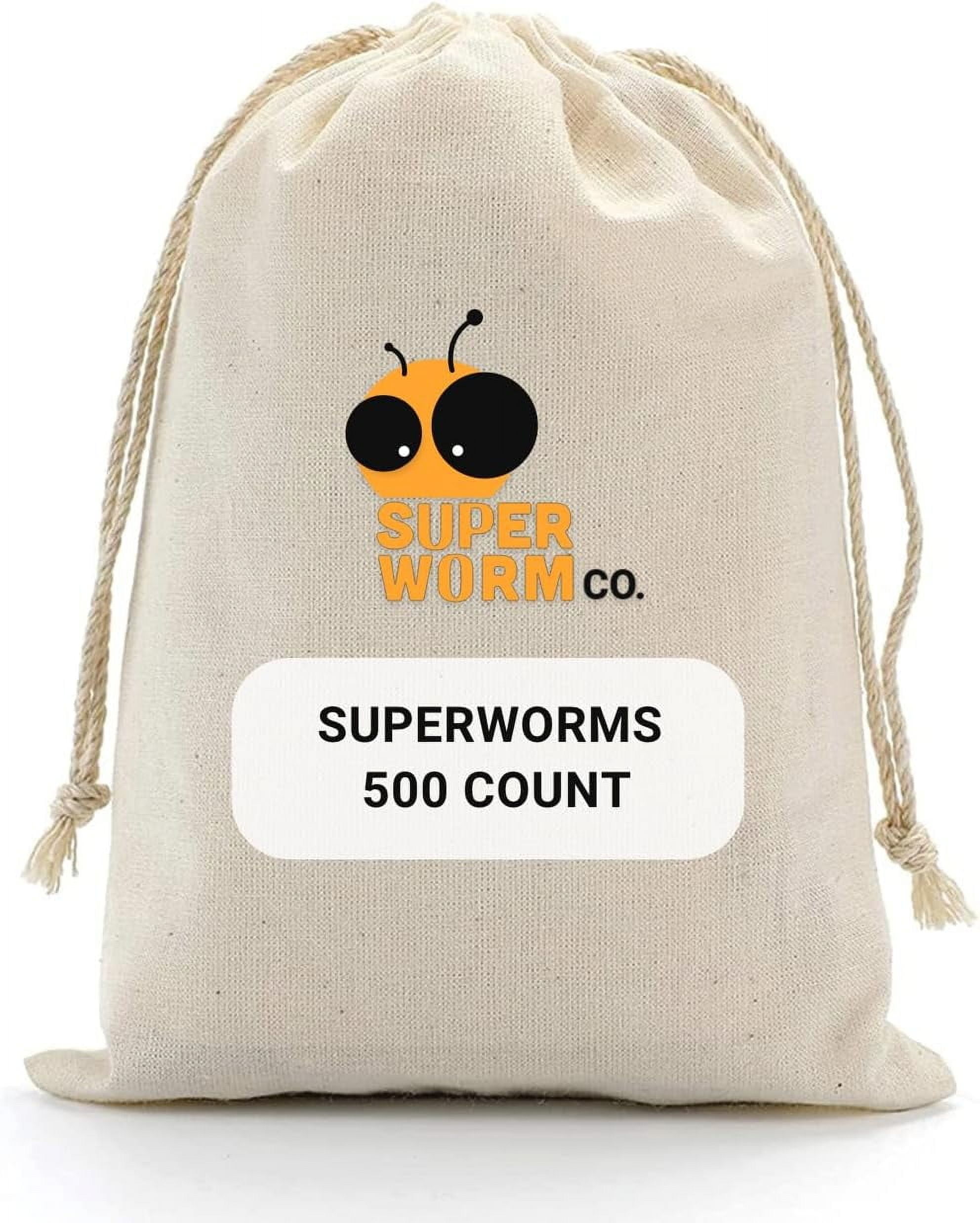 Superworms - Large - 500ct - Walmart.com