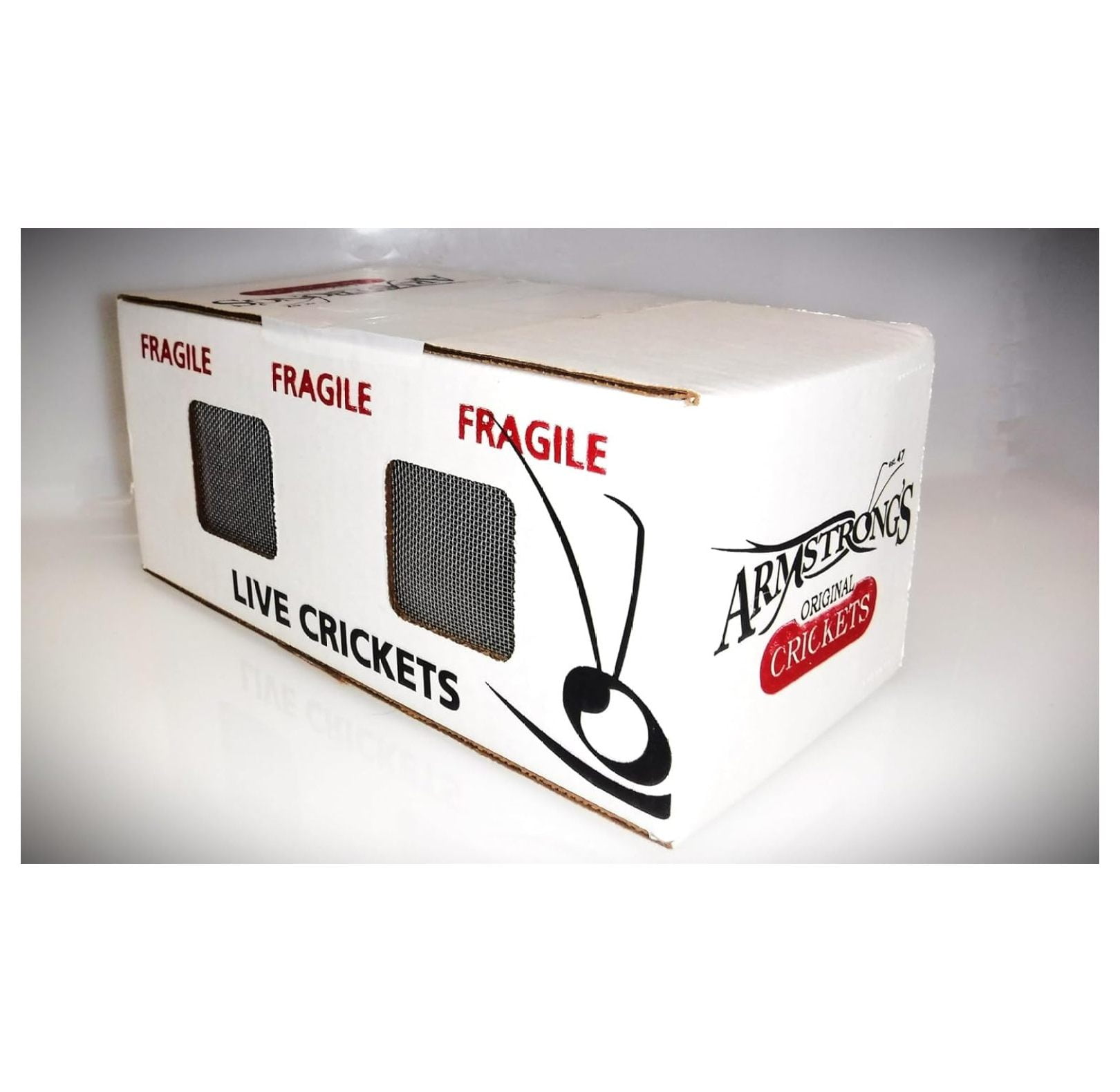 Superworms (Zophobas morio) Kingworms (Large 1.75"+) (Medium 1.25-1.74 ...