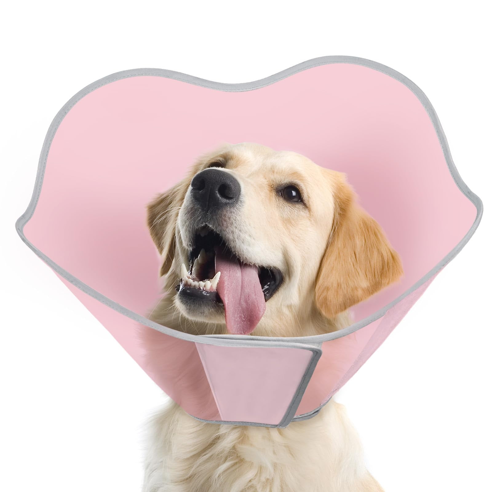 Supet Dog Cone for MSF2 Dogs After Surgery, Comfortable Dog Cones to ...