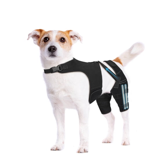 Supet Dog Knee Brace for Torn ACL Hind Leg, Adjustable Dog Leg Braces ...