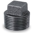 Supply Giant BMPL1120 Black Malleable Iron Plug with Square Head, 1-1/2 ...