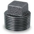 Supply Giant BMPL3000 Black Malleable Iron Plug with Square Head, 3 ...