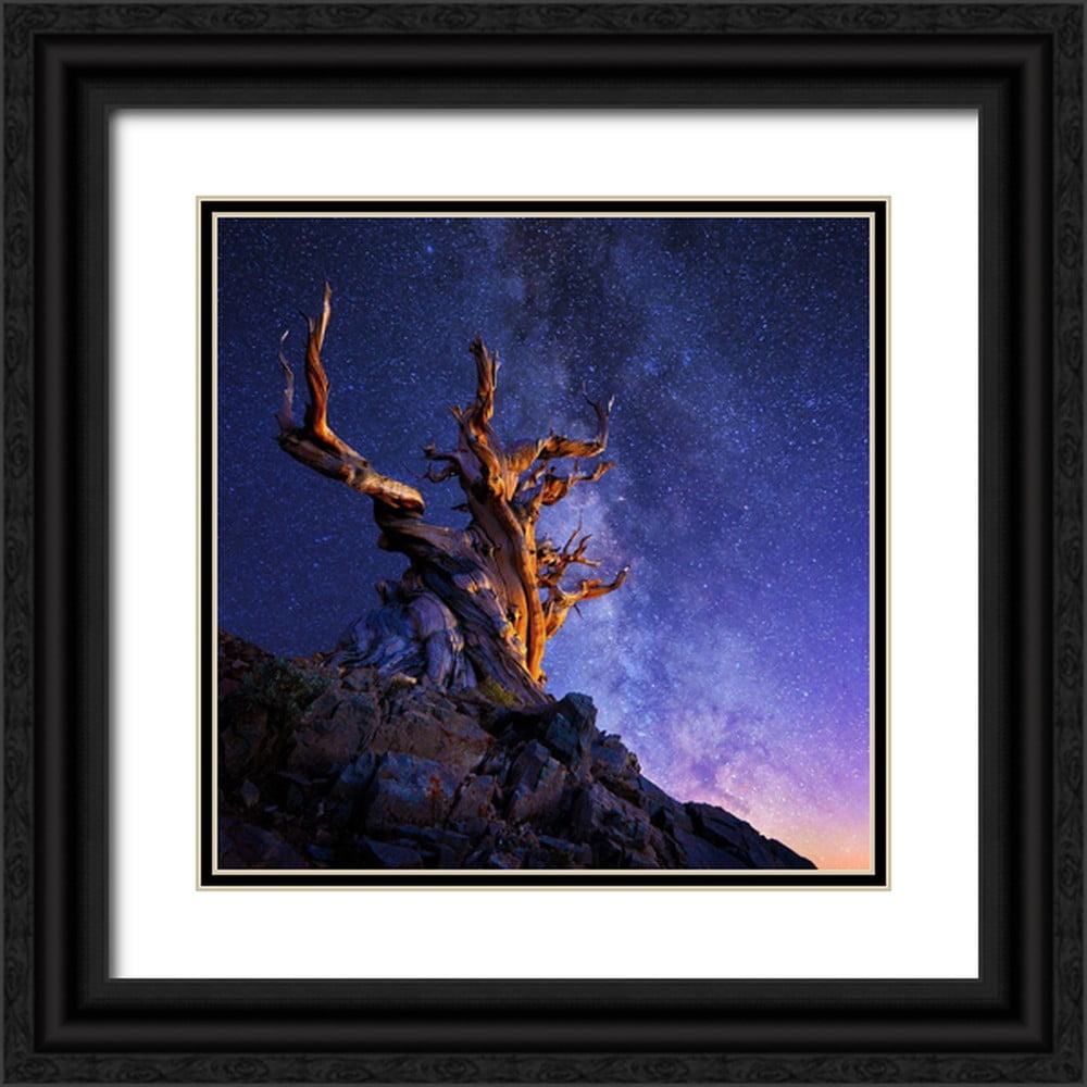 Suradji, Surjanto 26x26 Black Ornate Wood Framed with Double Matting ...