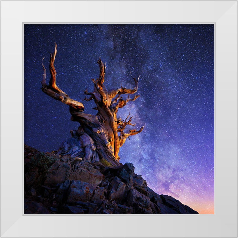 Suradji, Surjanto 26x26 White Modern Wood Framed Museum Art Print ...