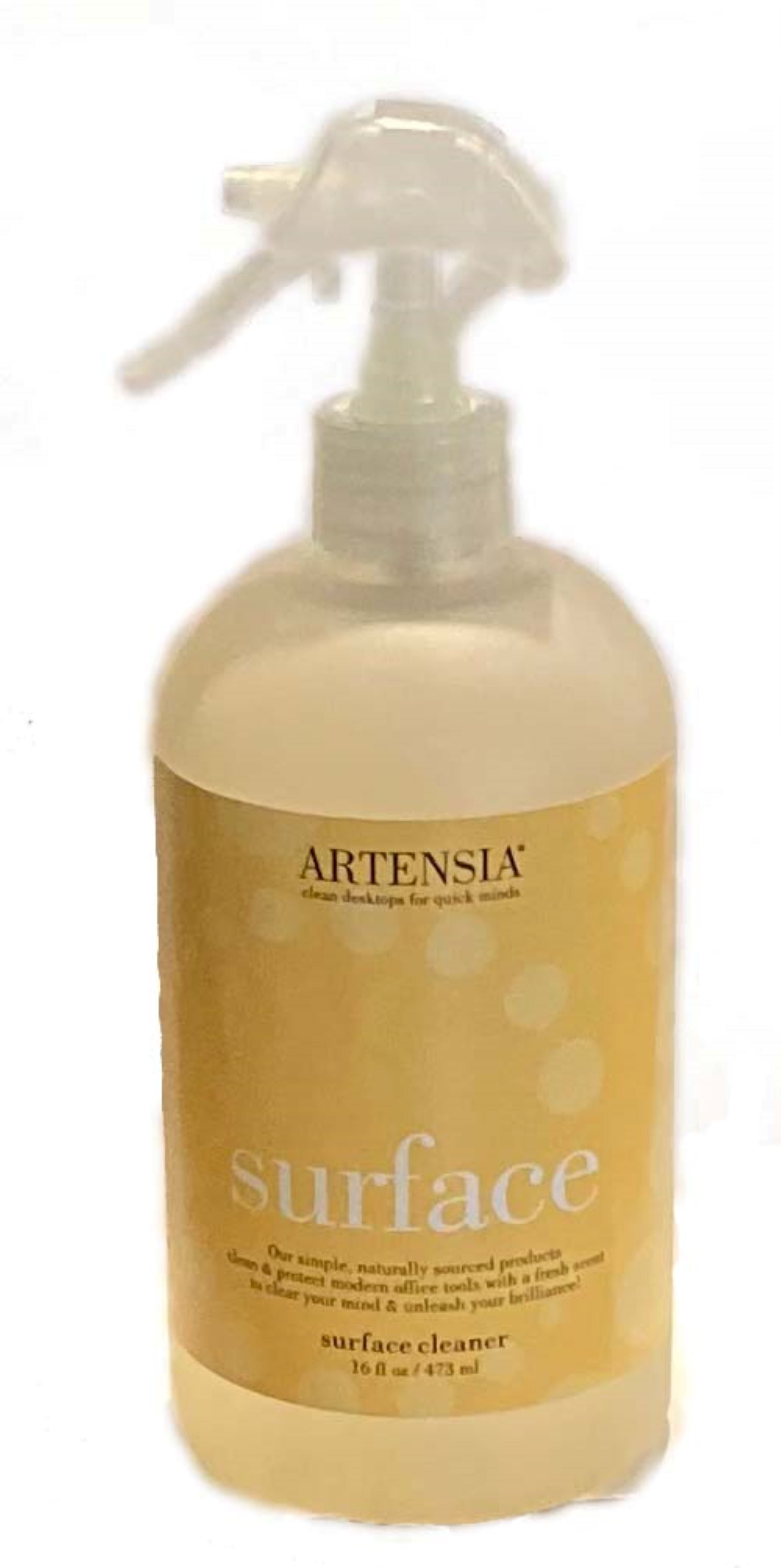 Surface Cleaner 16 FLOZ - Walmart.com