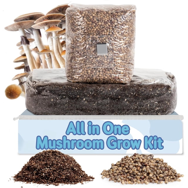 Surfin' Spores All-in-One Mushroom Grow Kit | 6 lb Grow-in-Bag Kit ...