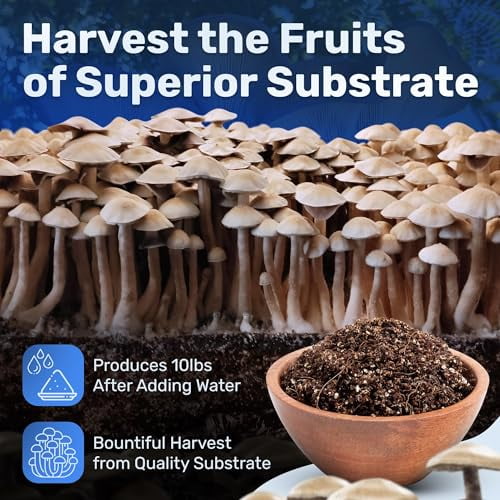 Surfin' Spores Dry Mushroom Substrate Mix | Produces 20 Pounds of ...