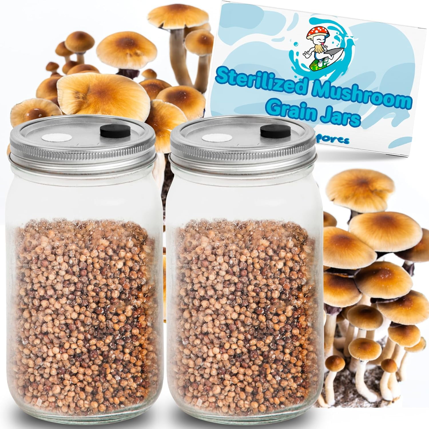 Surfin' Spores Mushroom Growing Grain Jars, Sterilized Hydrated Grain ...