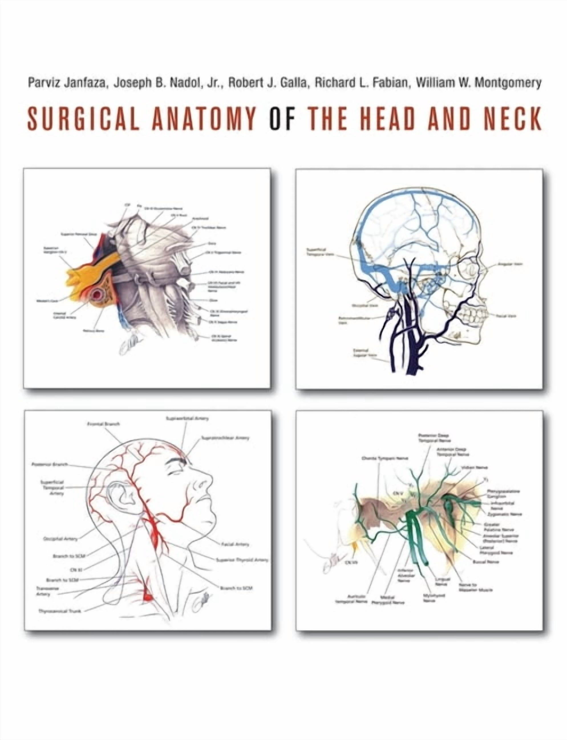 Surgical Anatomy of the Head and Neck (Hardcover) - Walmart.com