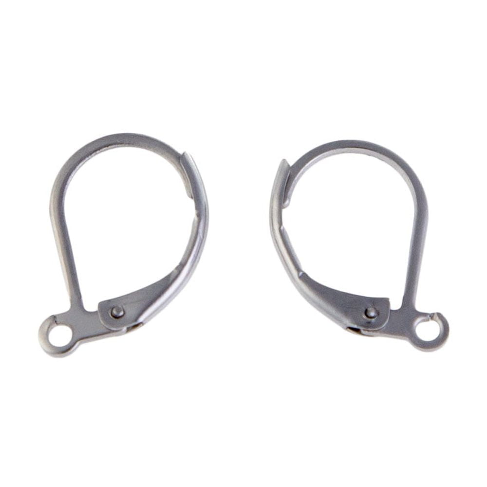 Surgical Stainless Steel Lever Back Earring Finding (Package of 2 ...