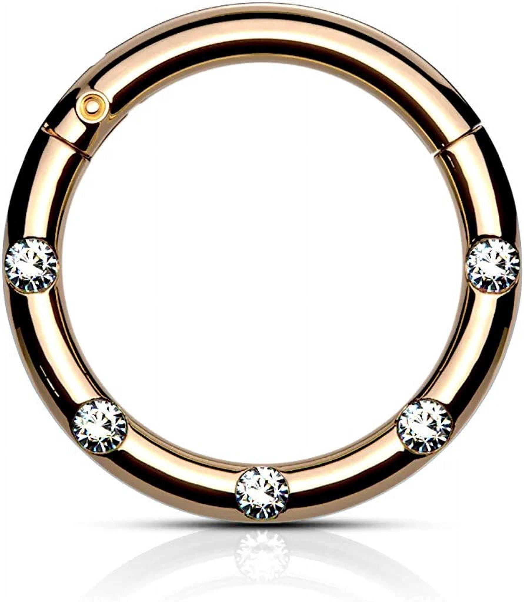 Surgical Steel 5 Flush Front Facing Petite Crystals Hinged Segment Hoop ...