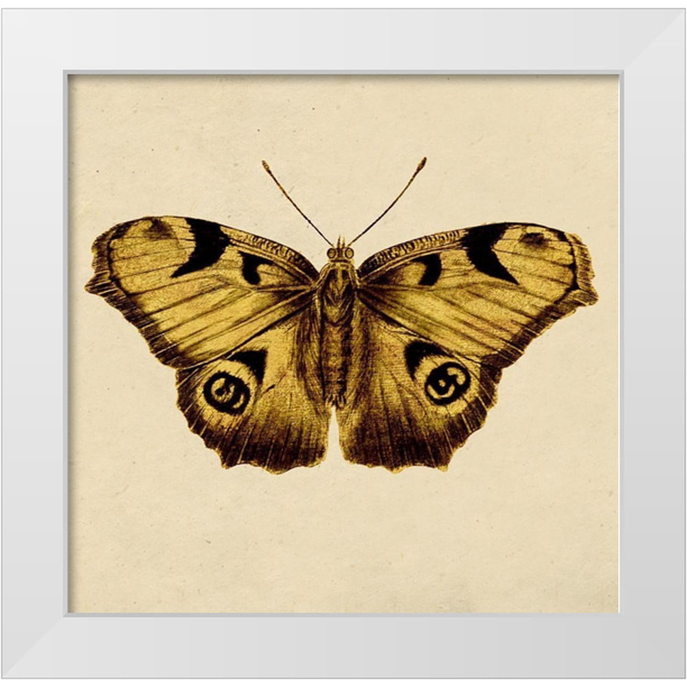 Surma, Agata 12x12 White Modern Wood Framed Museum Art Print Titled ...