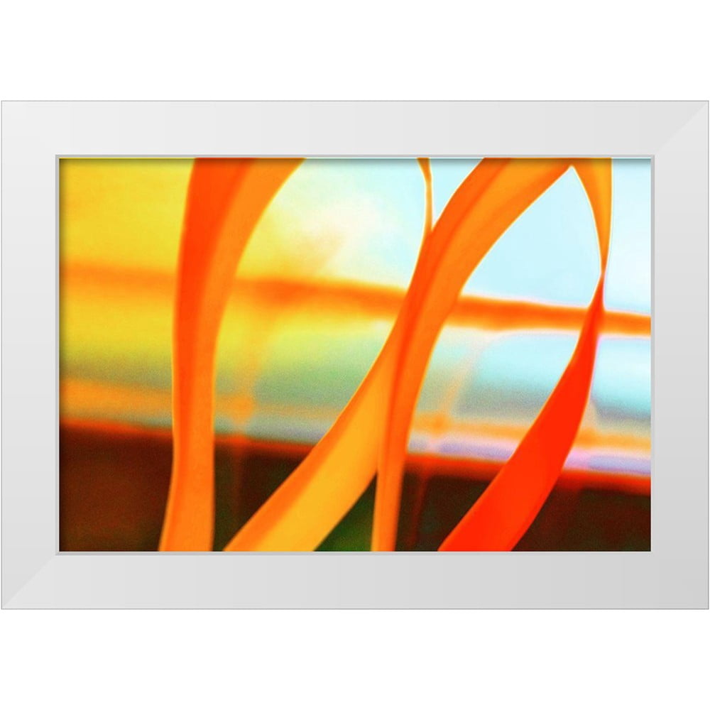 Surma And Guillen 14x11 White Modern Wood Framed Museum Art Print ...