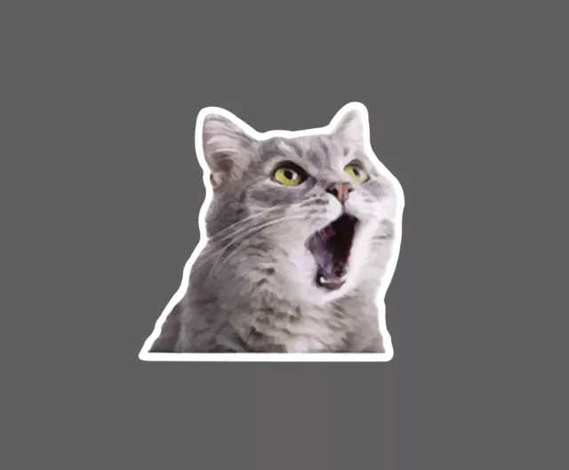Surprised Cat Sticker Waterproof Sticker Phone Decal Water Bottle ...